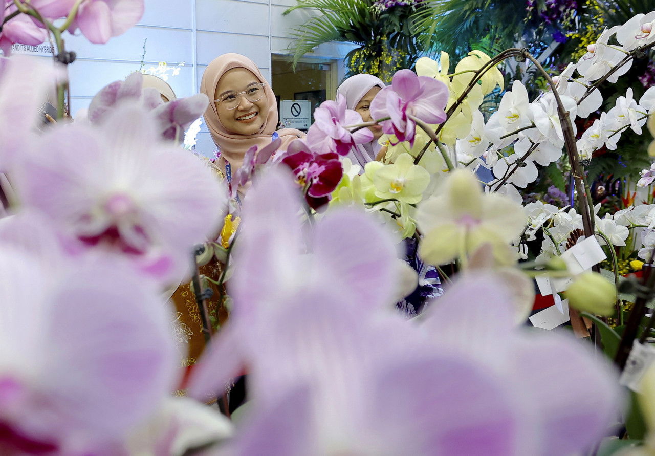 Getaran | Semasa | Hibrid Orkid Baharu Dinamakan Dendrobium Dr Wan Azizah Getaran | Semasa | Hibrid Orkid Baharu Dinamakan Dendrobium Dr Wan Azizah